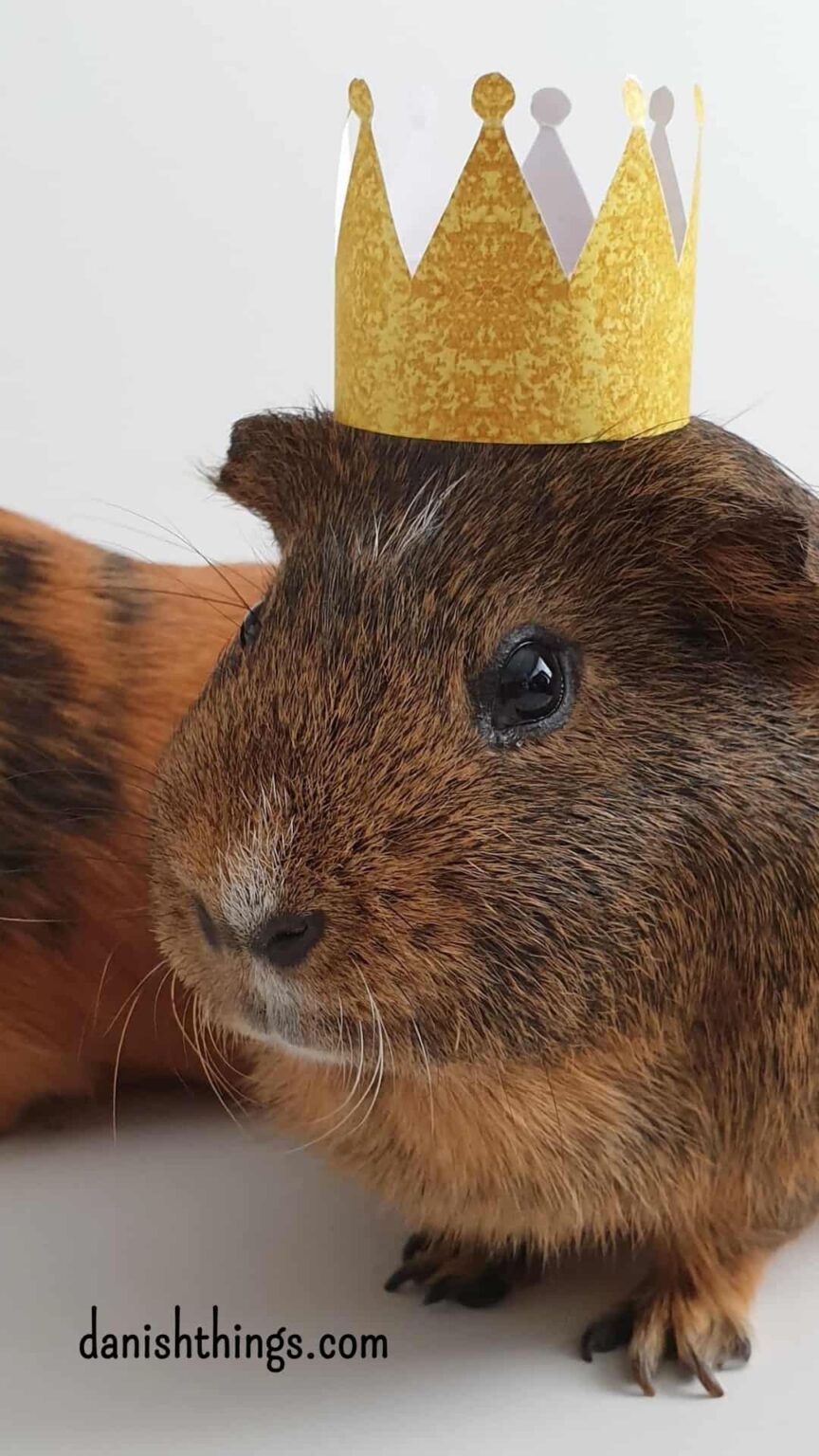 Lav din egen krone til en konge, dronning, prins eller prinsesse ...