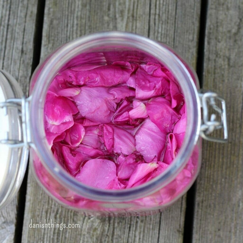 Rose-infused alcohol – how to make vodka and gin with roses - Danish Things