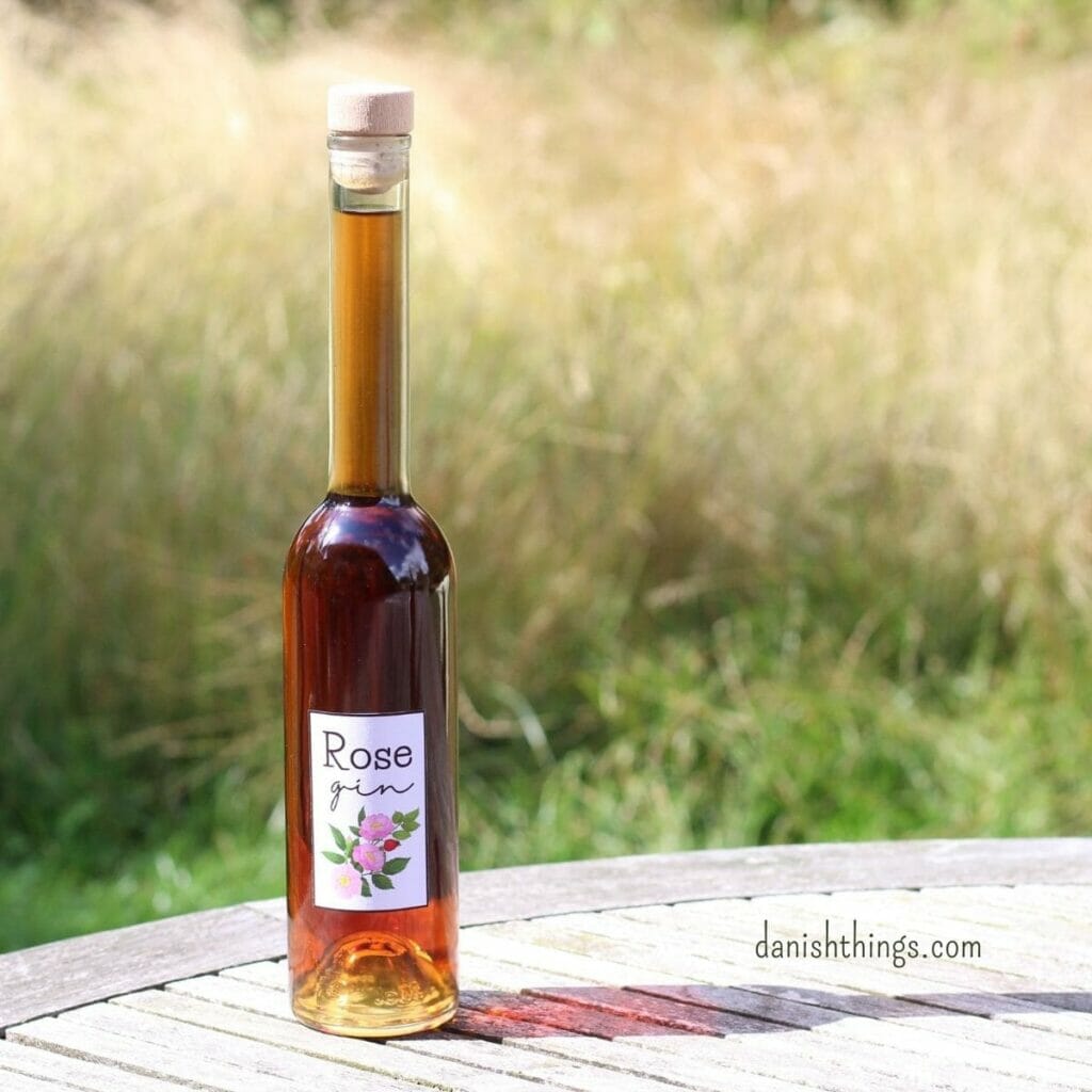 Rose-infused alcohol – how to make vodka and gin with roses - Danish Things