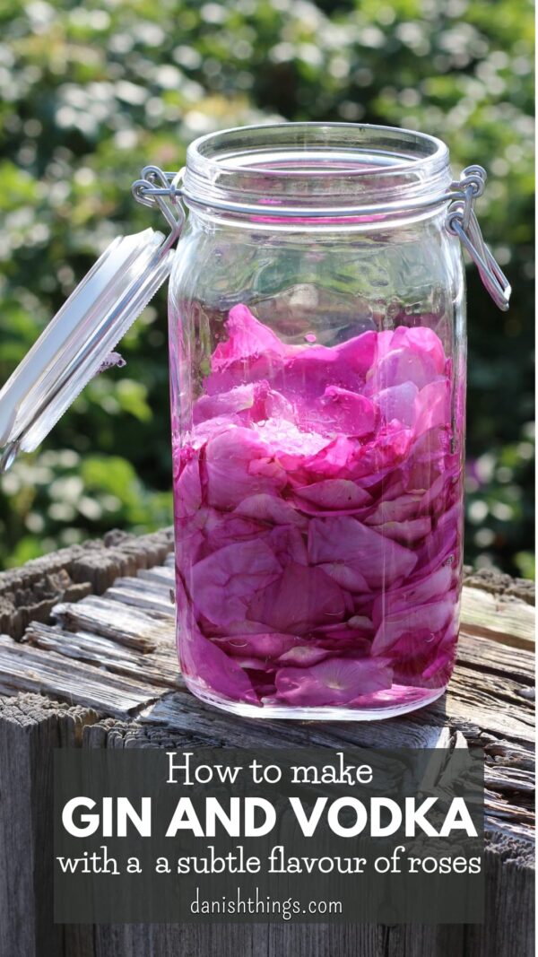 Rose-infused alcohol – how to make vodka and gin with roses - Danish Things