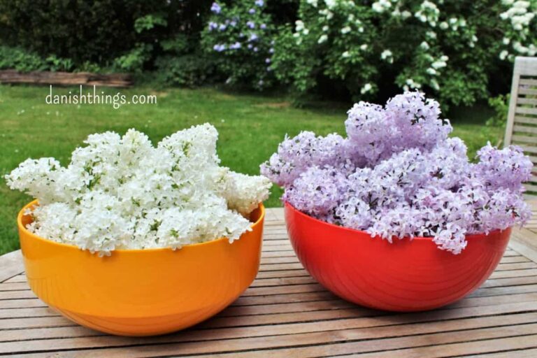 35+ ideer til at bruge syrener i køkkenet – det smager af forår ...